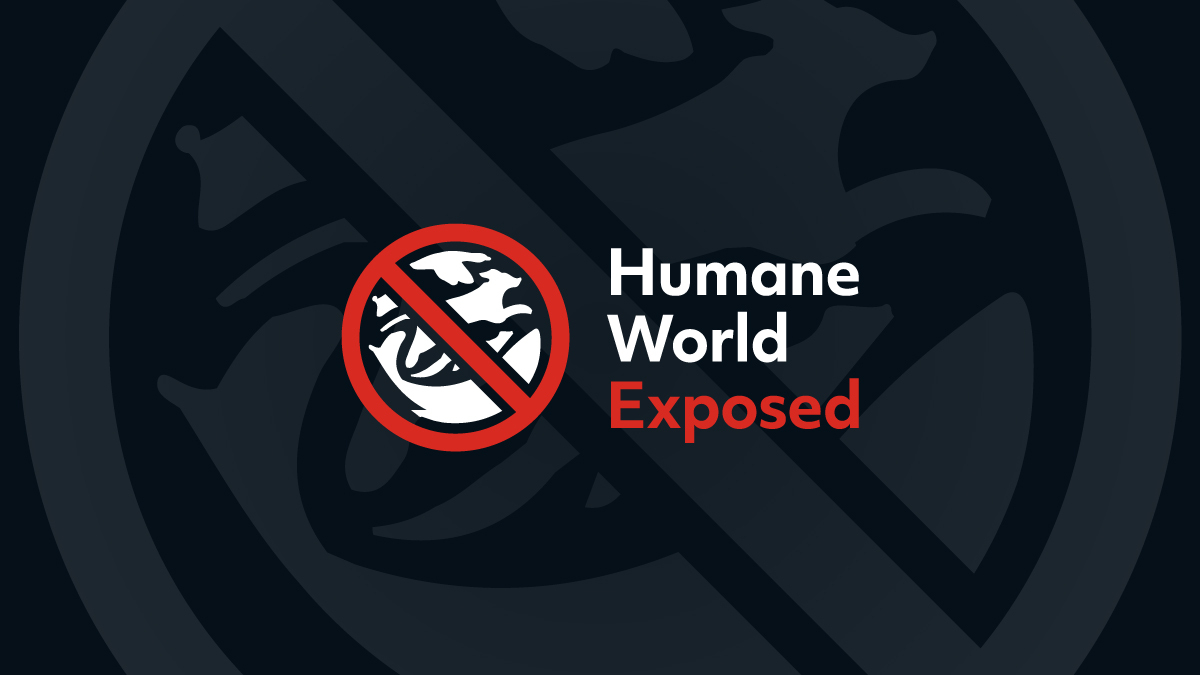 Humane World Exposed
